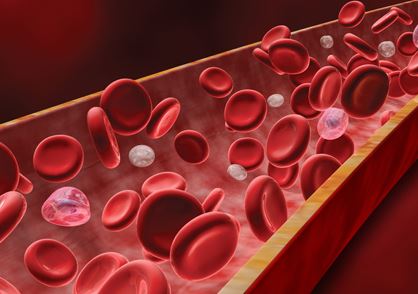 Blood Analysis: Can it help to predict injuries?