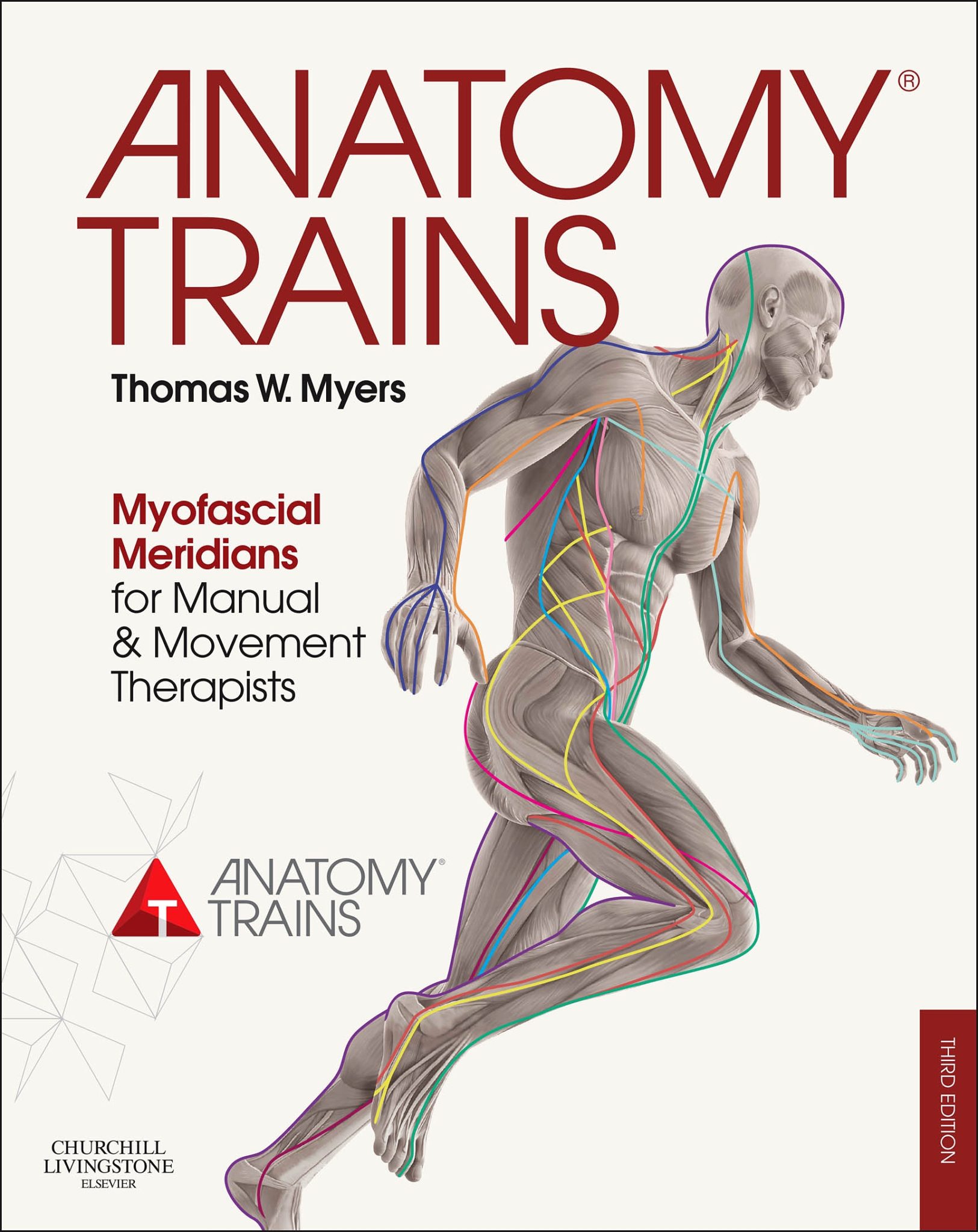 Anatomy Trains and Myofascial Meridians | HFE Blog