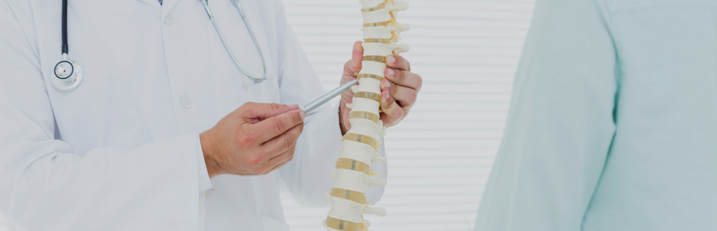 Dr Stuart Porter's Anatomy of the Spine | HFE Blog