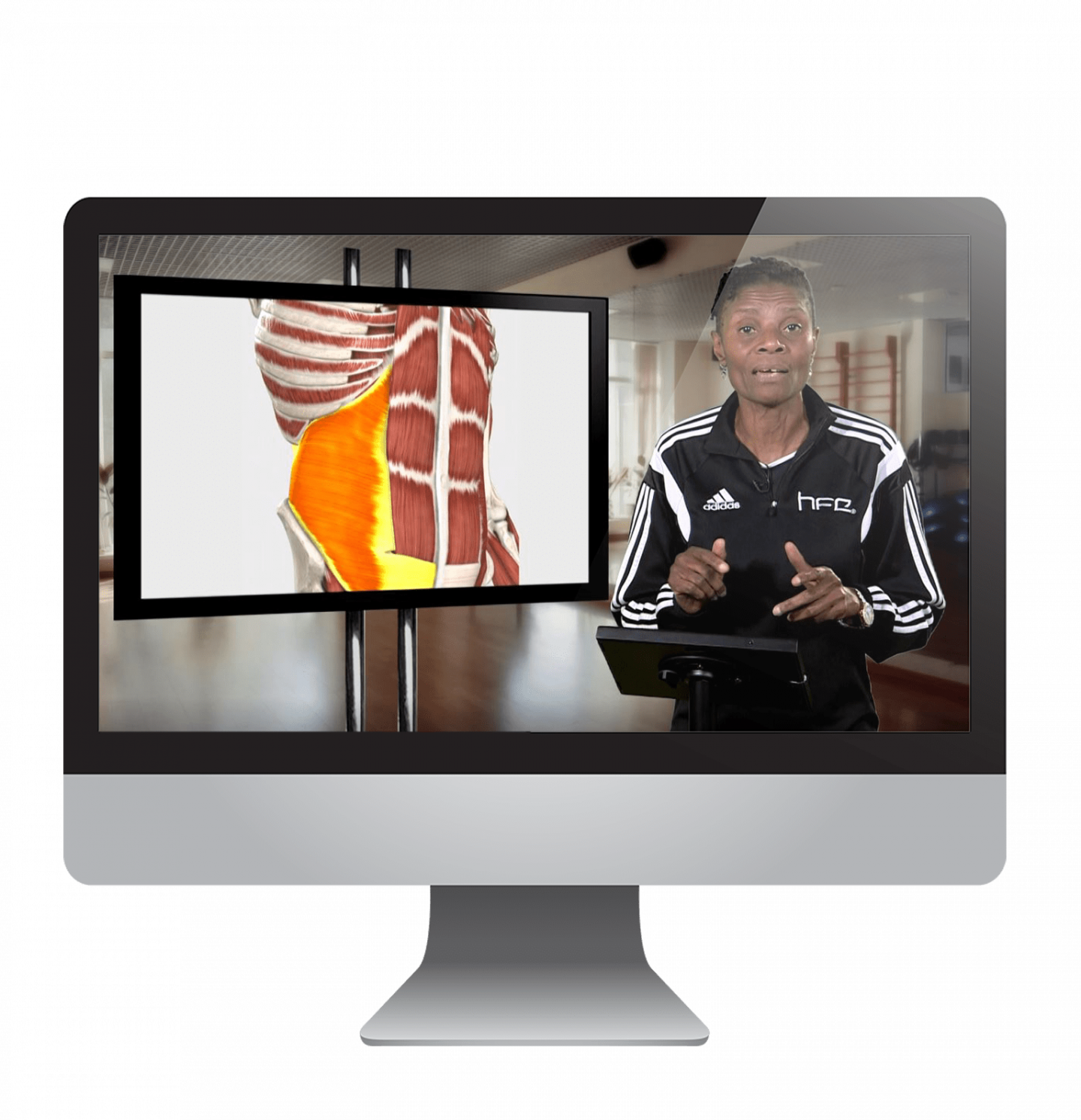 World-Class Online Personal Training Courses and Qualifications | HFE