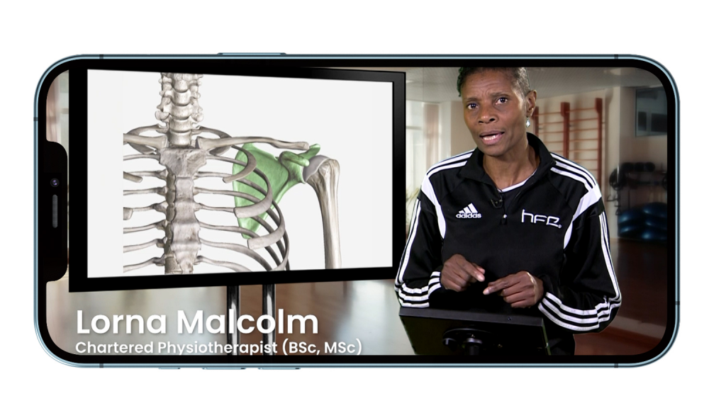 Support at HFE | HFE