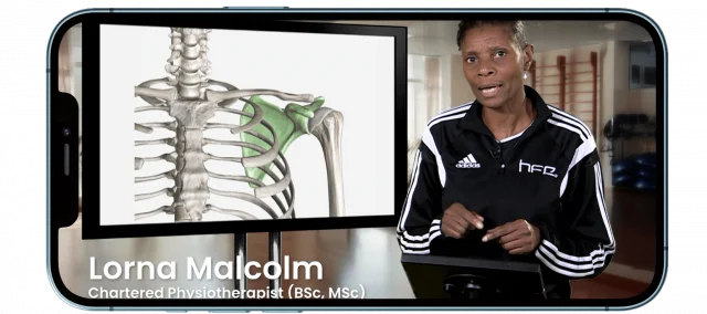 Level 3 Personal Trainer Course Online | HFE