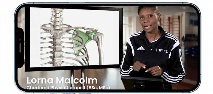 Level 3 Personal Trainer Course Online | HFE