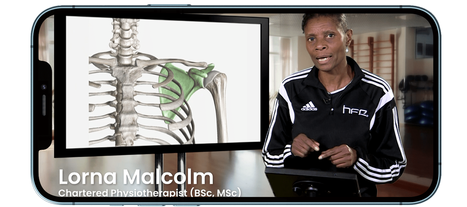 Level 4 Sports Massage Therapy Course Hfe