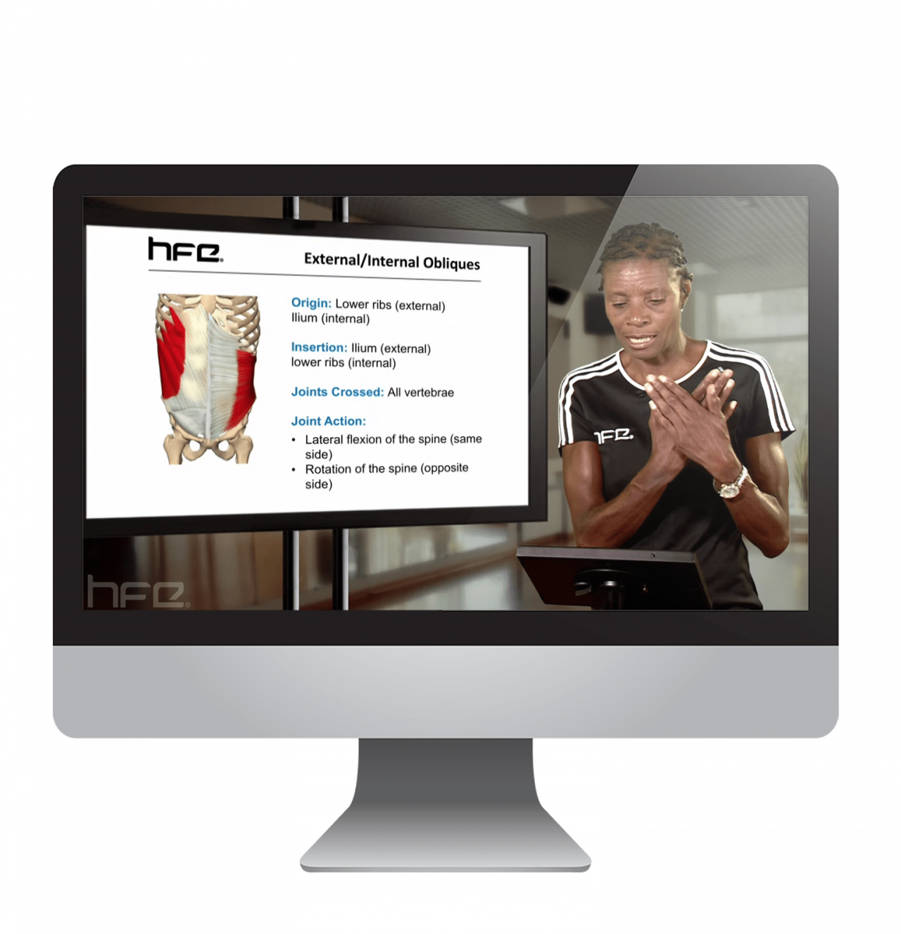 Fitness Courses, Training and Qualifications | HFE