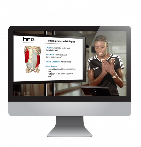 Fitness Courses, Training and Qualifications | HFE