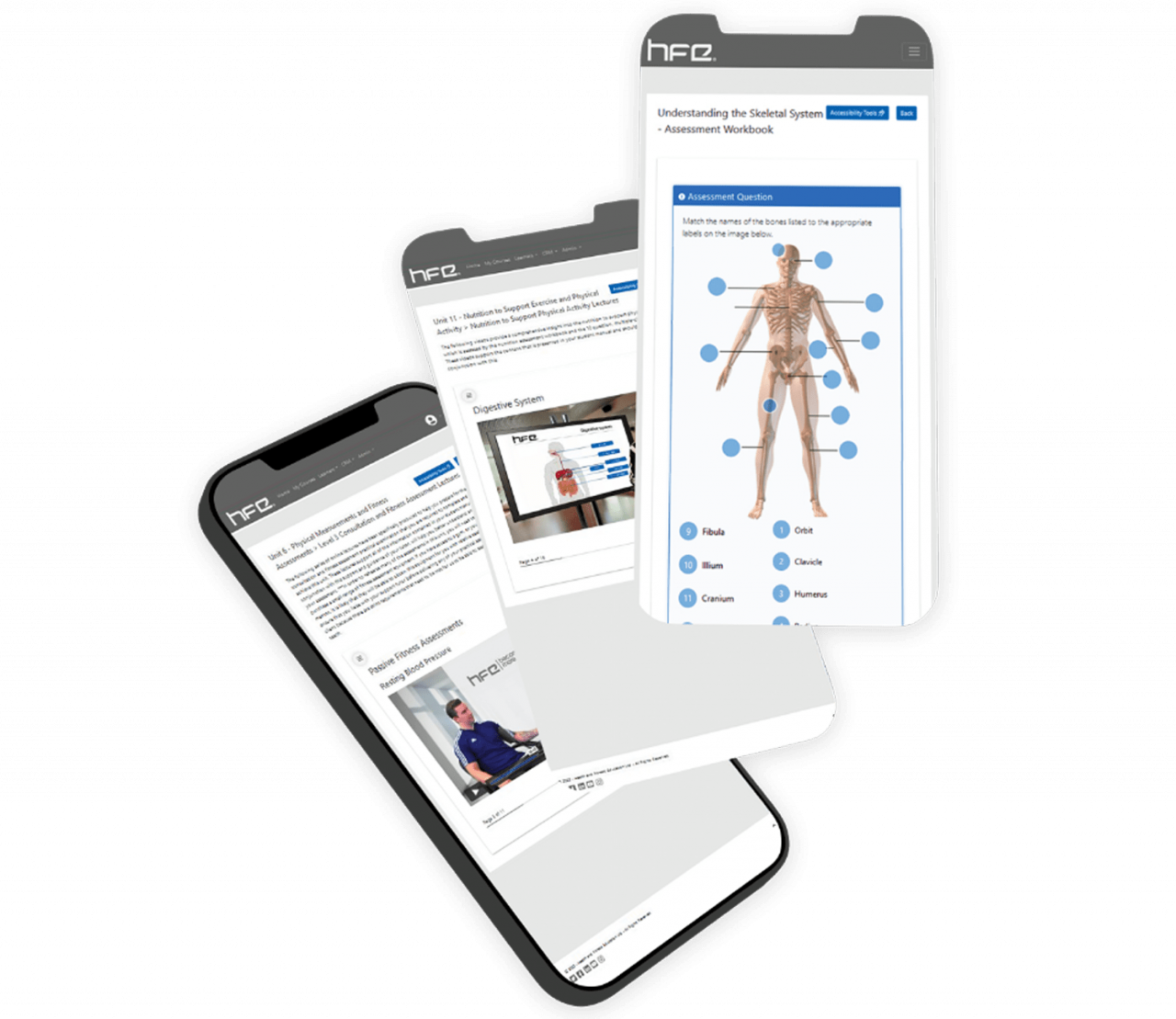 Fitness Courses, Training and Qualifications | HFE