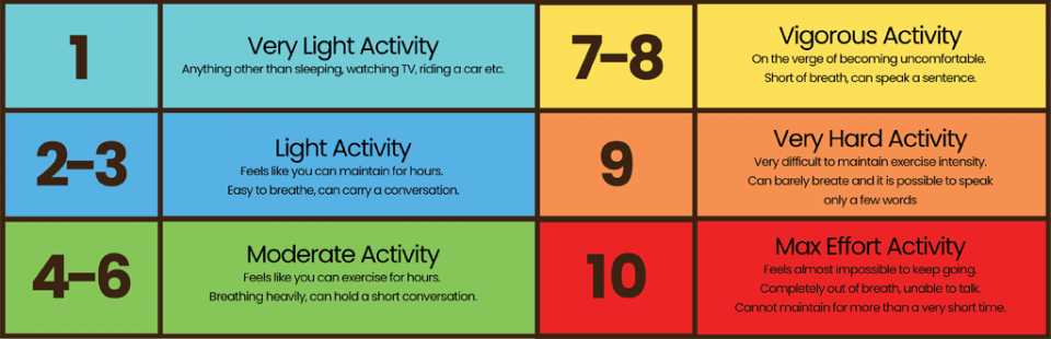 Physical Activity Factor | HFE